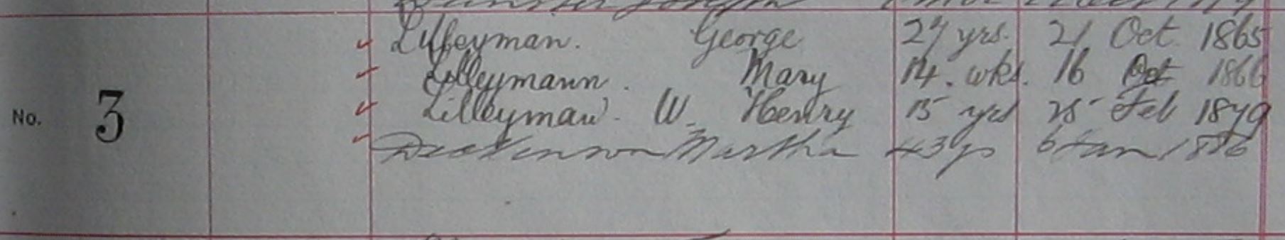 A NIGHT IN BURNGREAVE CEMETERY, SHEFFIELD - MARTHA DICKENSON JANUARY 1884